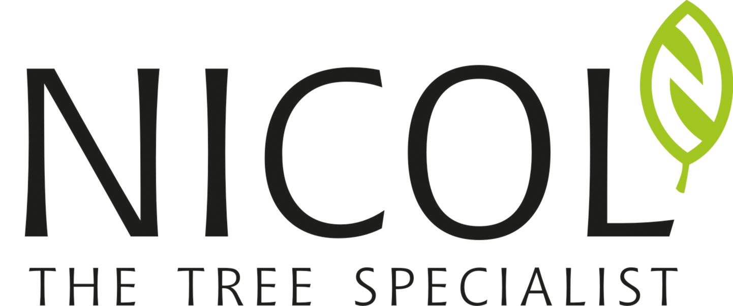 Tree Surgeon - Green Tree Thinking - Penrith Cumbria
